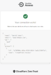 Cloudflare Access IdP with Entra ID - theDXT