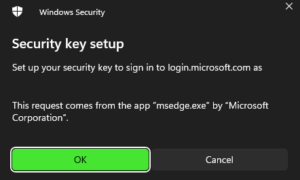 Microsoft 365 Passkey Setup - theDXT