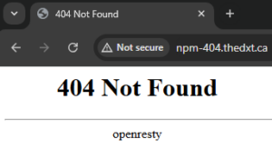 Nginx Proxy Manager Setup - theDXT