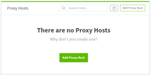 Nginx Proxy Manager Setup - theDXT