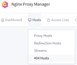 Nginx Proxy Manager Setup - theDXT