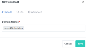 Nginx Proxy Manager Setup - theDXT