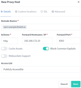 Nginx Proxy Manager Setup - theDXT
