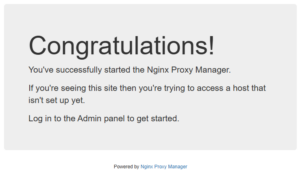 Nginx Proxy Manager Setup - theDXT