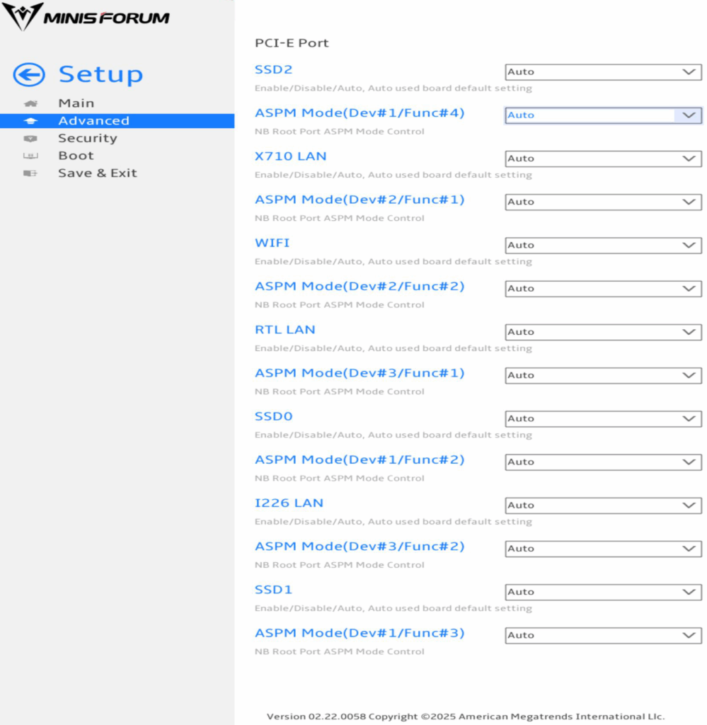 Minisforum MS-A2 BIOS Options - theDXT